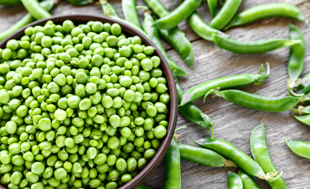 Different Types of Peas Explained For the Home Gardener – MIgardener