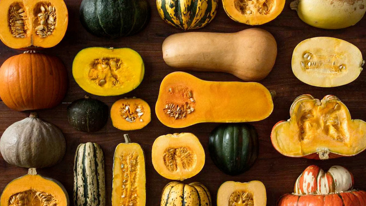 Surveying the Many Winter Squash Varieties – MIgardener