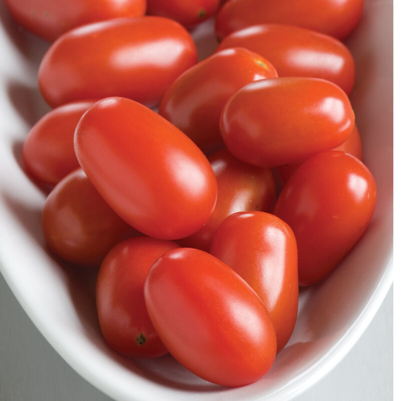 Grape Tomatoes – MIgardener