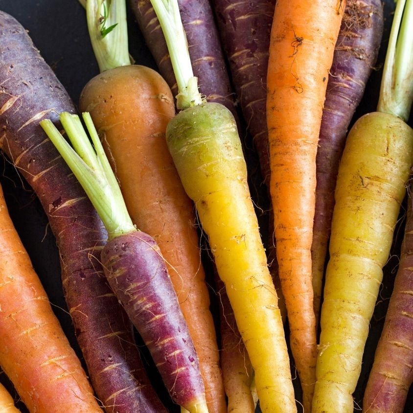 Carrot – Tagged "In stock"– MIgardener