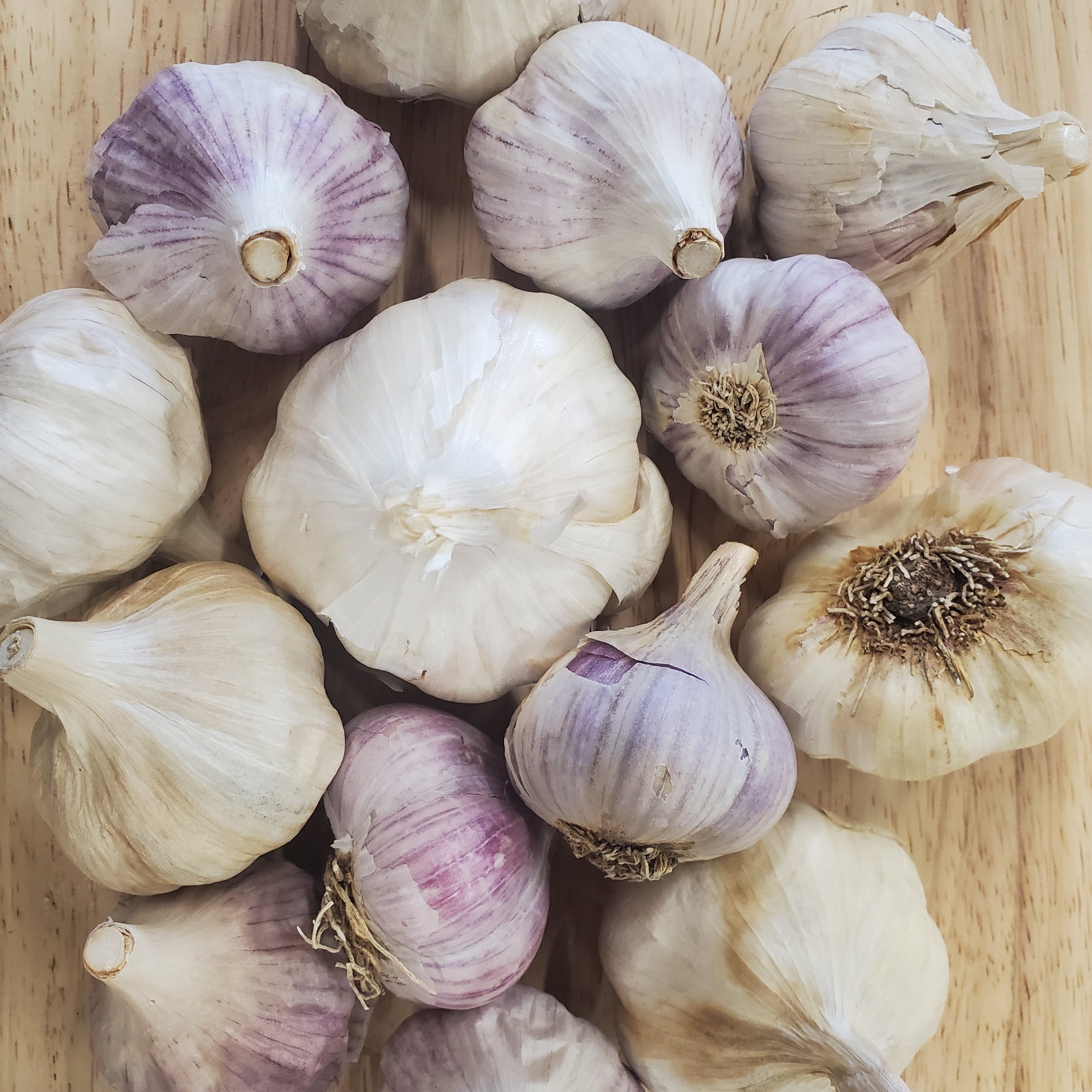Garlic Grab Boxes – MIgardener