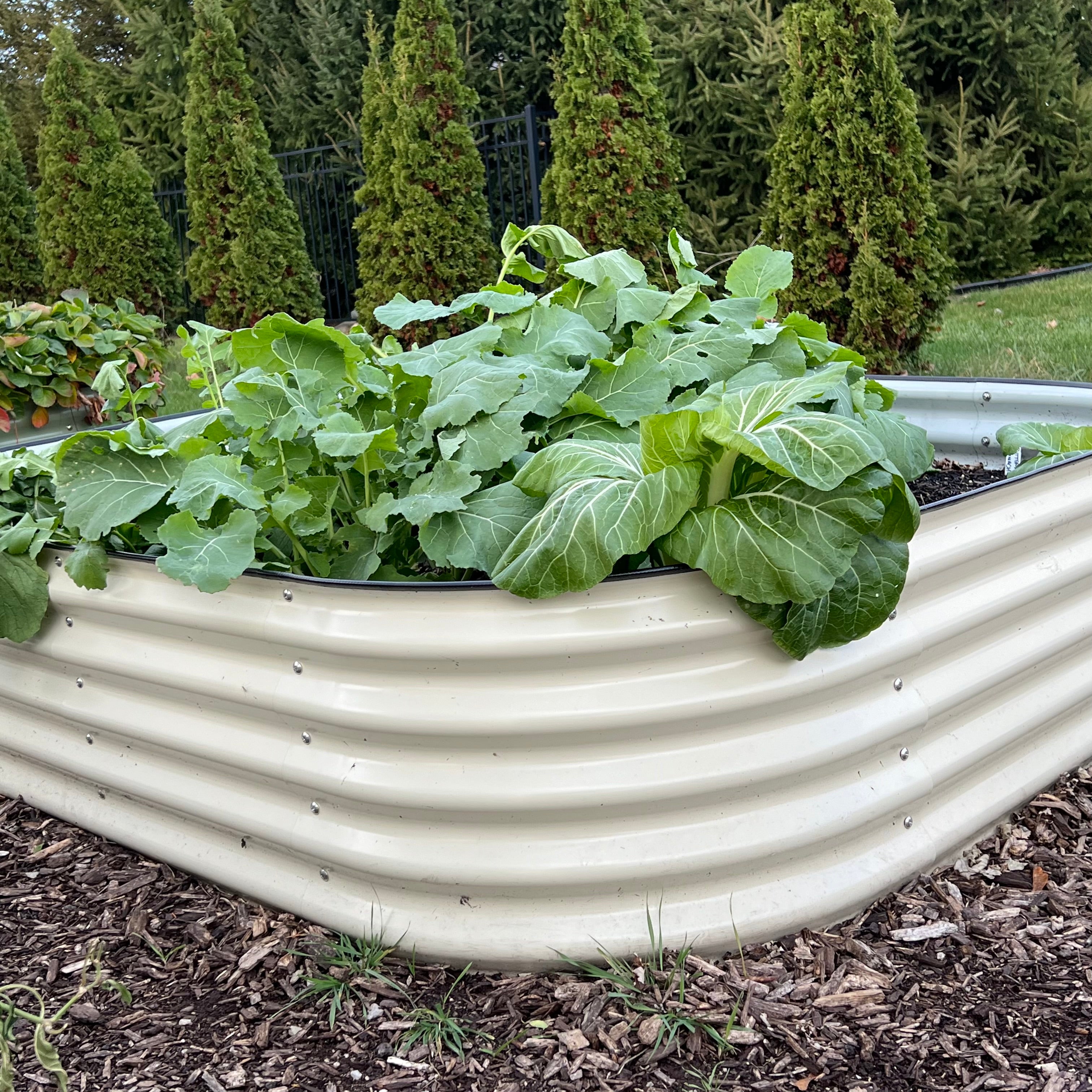 Migardener x Vego Grow Bigger 2 In 1 (SMALL) Raised Bed Kit (SHIPS FRE ...