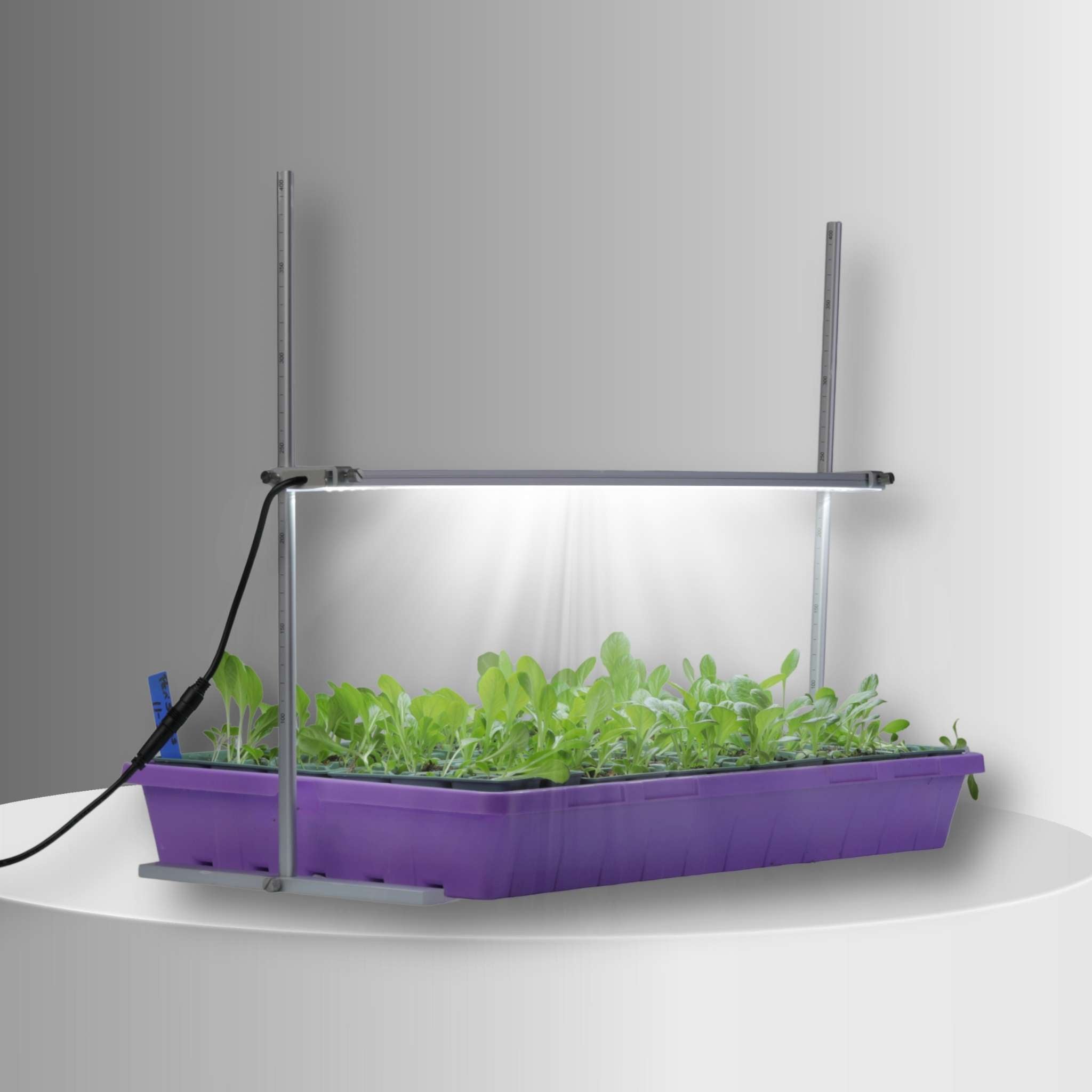 2 FT LED Grow Light with Stand – MIgardener