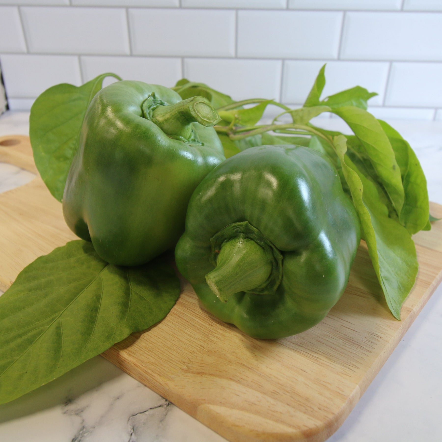 Emerald Giant Bell Pepper – MIgardener