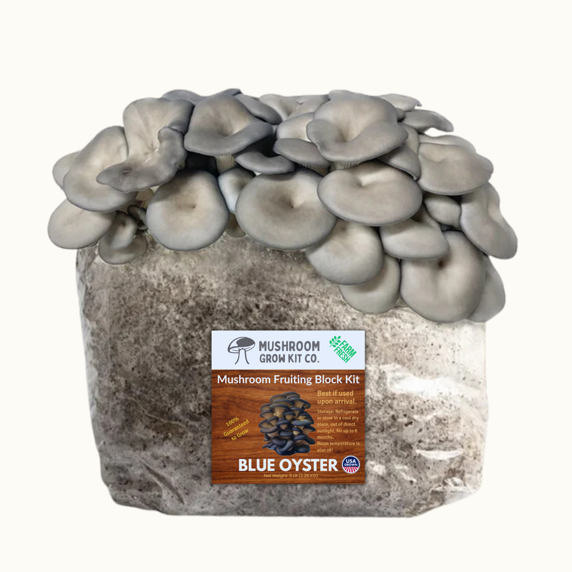 Premium Blue Oyster Mushroom Fruiting Block Grow Kit - 5 LBS – MIgardener
