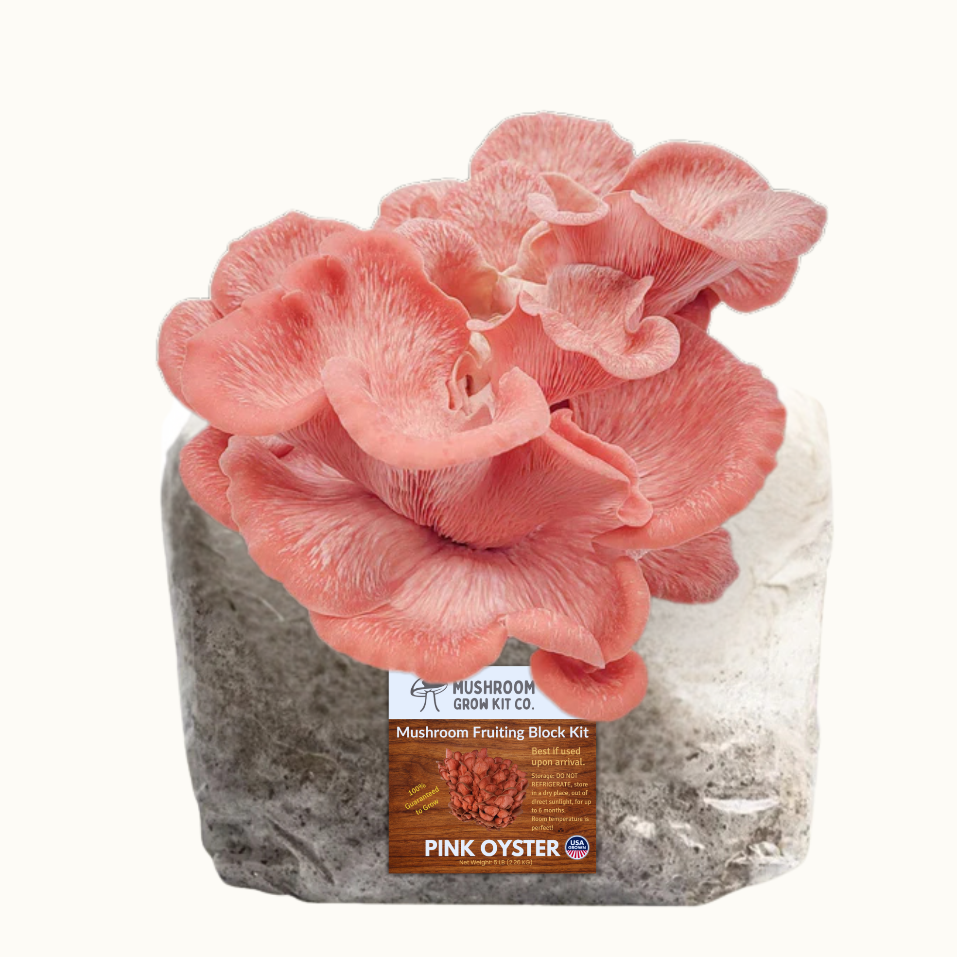Premium Pink Oyster Mushroom Fruiting Block Grow Kit - 5 LBS – MIgardener