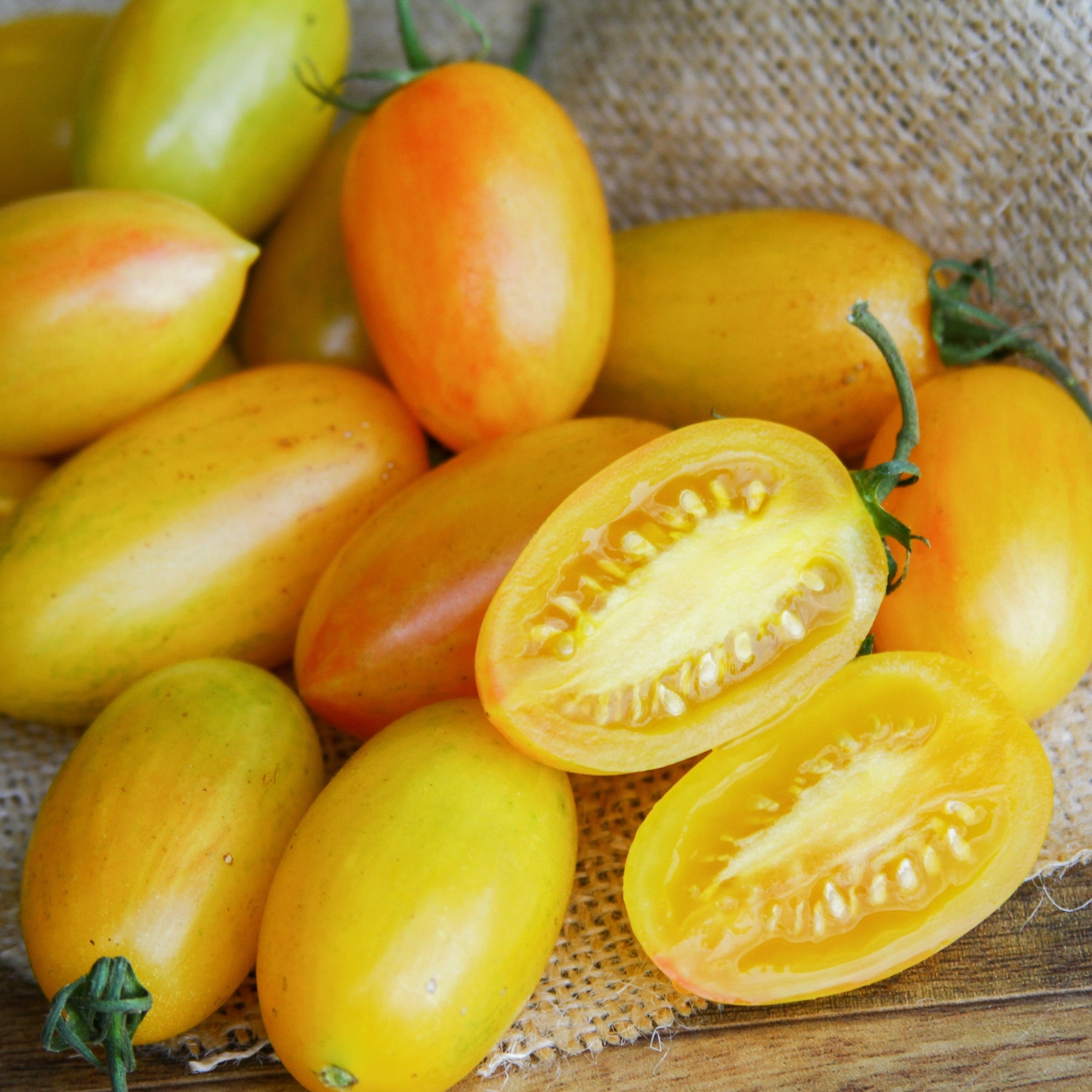 Blush Tomato – MIgardener