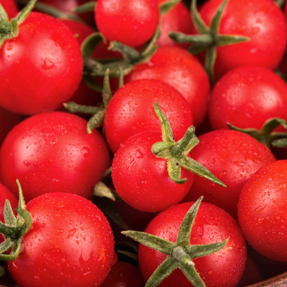 Sweetie Tomato – MIgardener