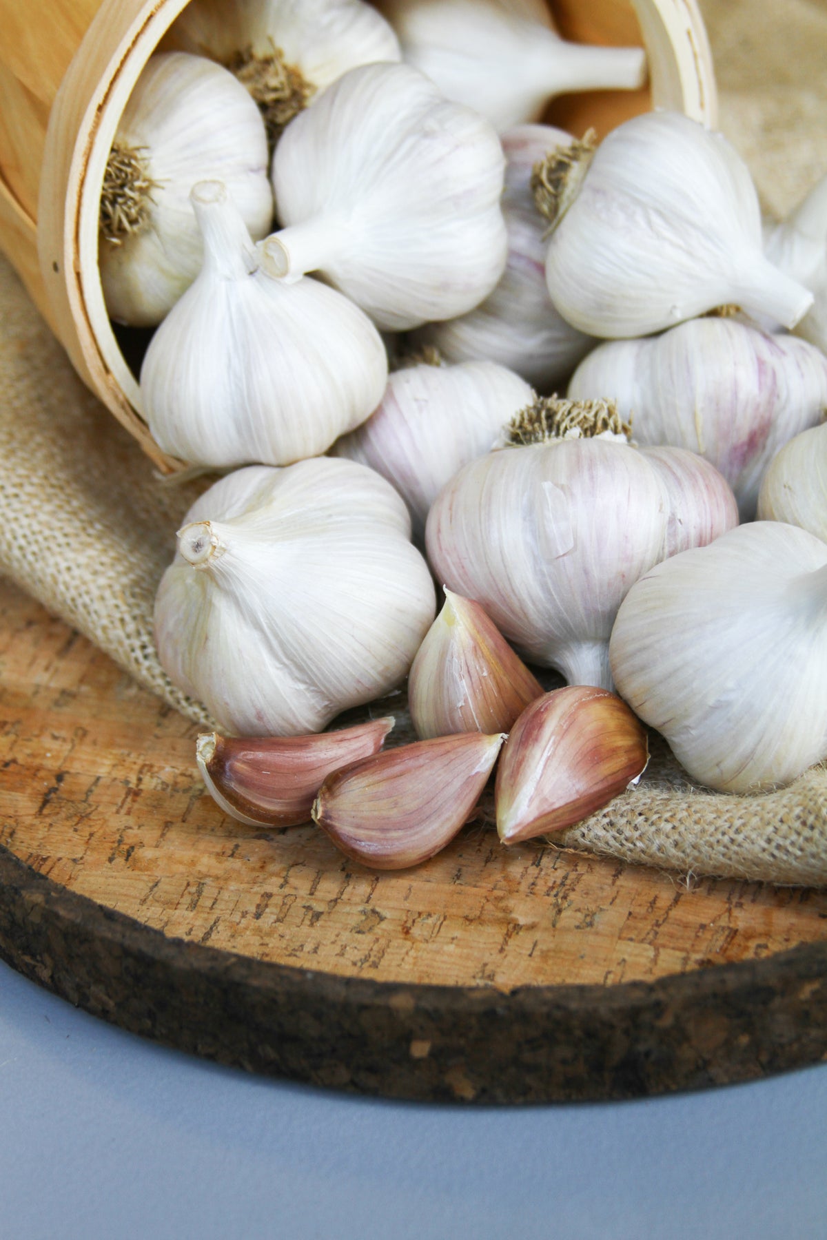 Early Red Italian (Softneck) Garlic – MIgardener