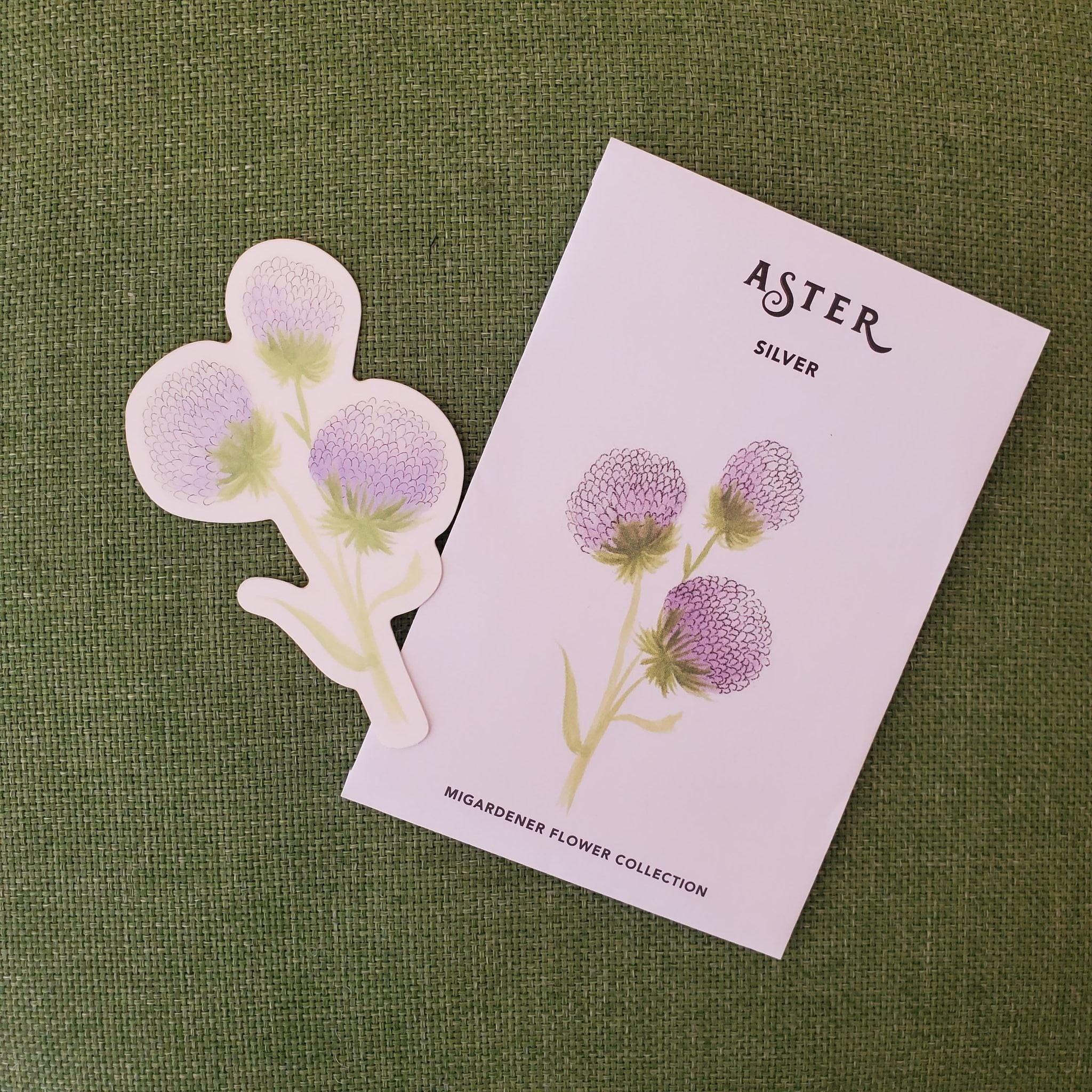 Aster Illustration Sticker – MIgardener