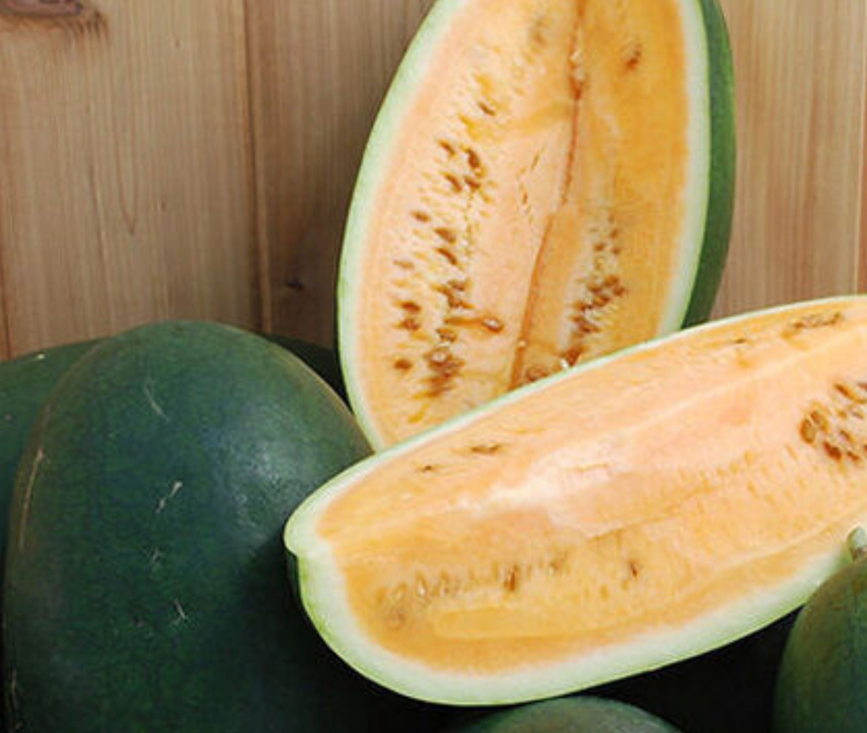 Sweet Siberian Watermelon – MIgardener