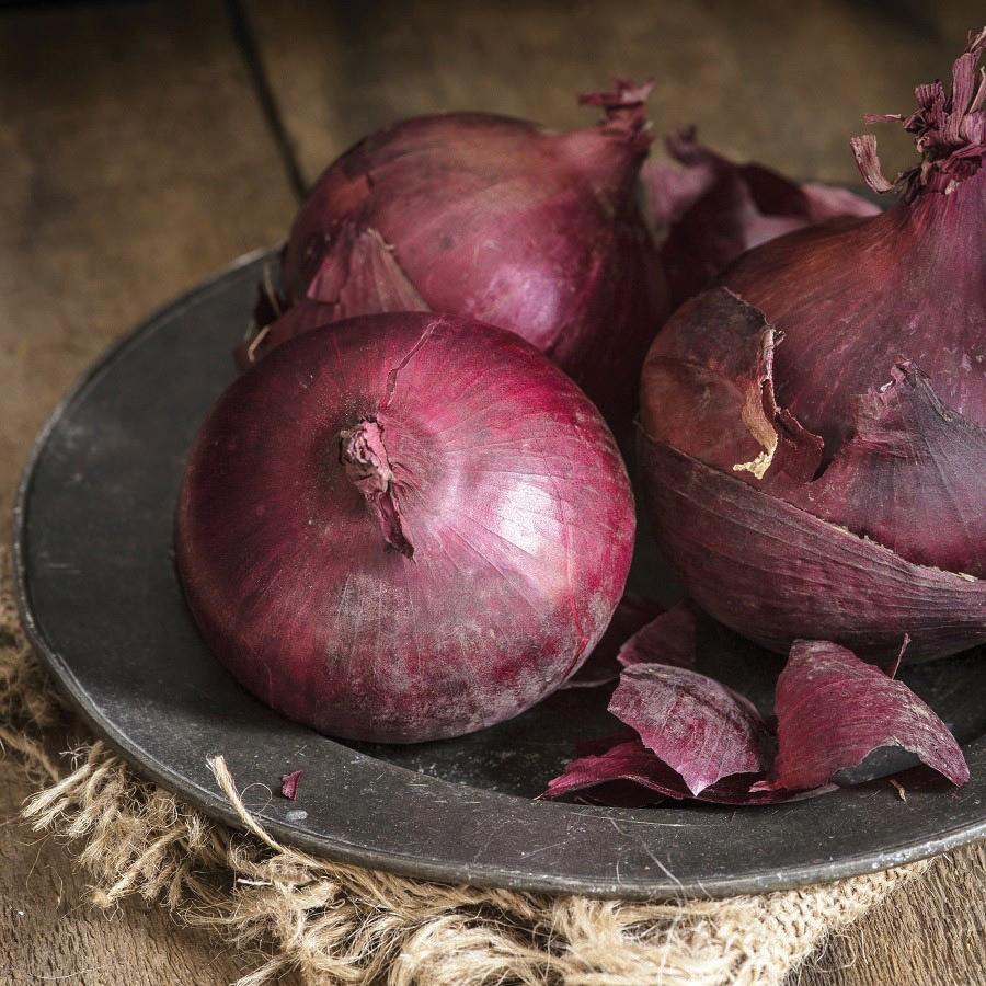 Ruby Red Long Day Onion – MIgardener