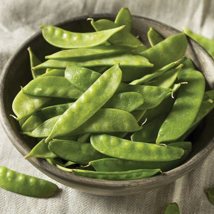 Mammoth Melting Snow Pea – MIgardener