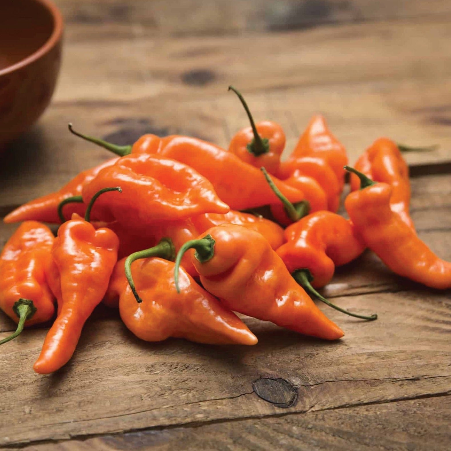 Habanada Pepper – MIgardener