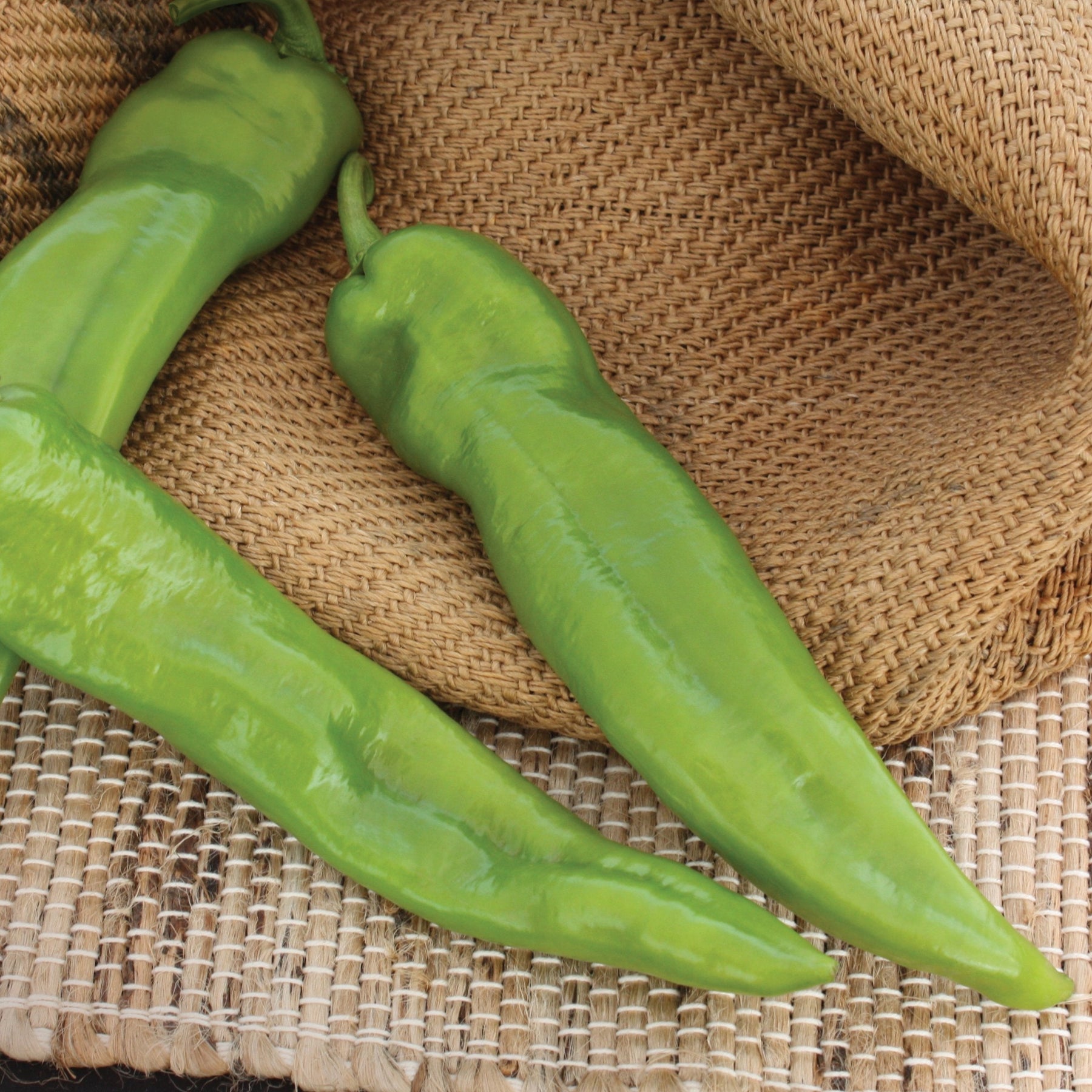 Anaheim Chili Pepper – MIgardener