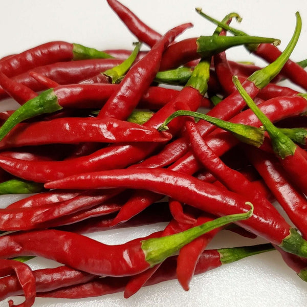 Arbol pepper store