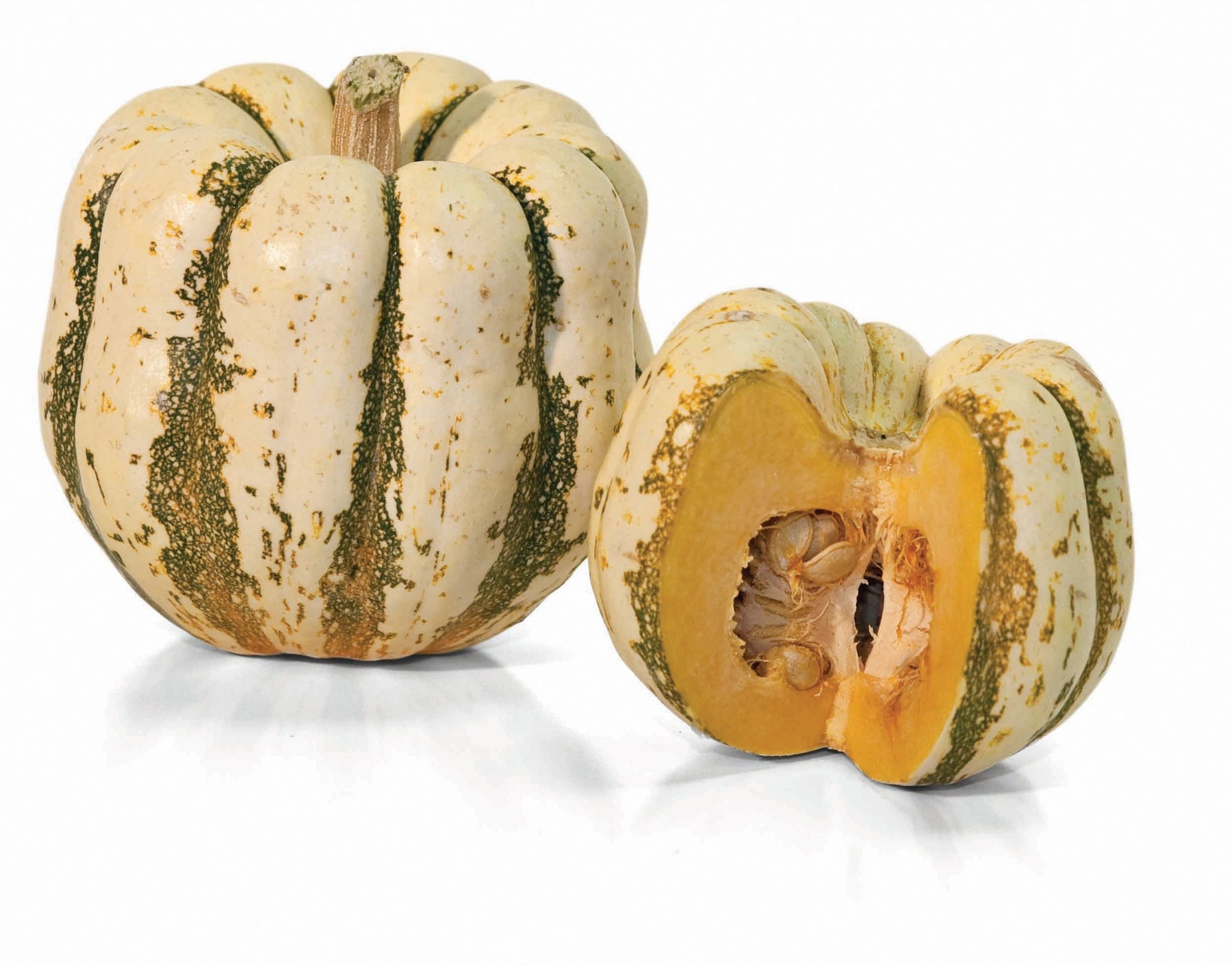 Sweet Dumpling Squash – MIgardener