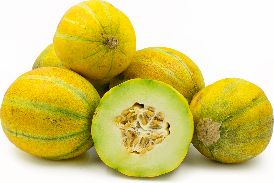 Ha'Ogen Melon – MIgardener